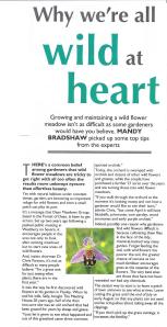 Press | Dean Meadows Group